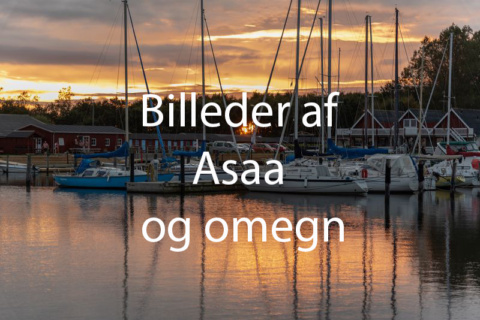 Asaa – Østkystens Perle